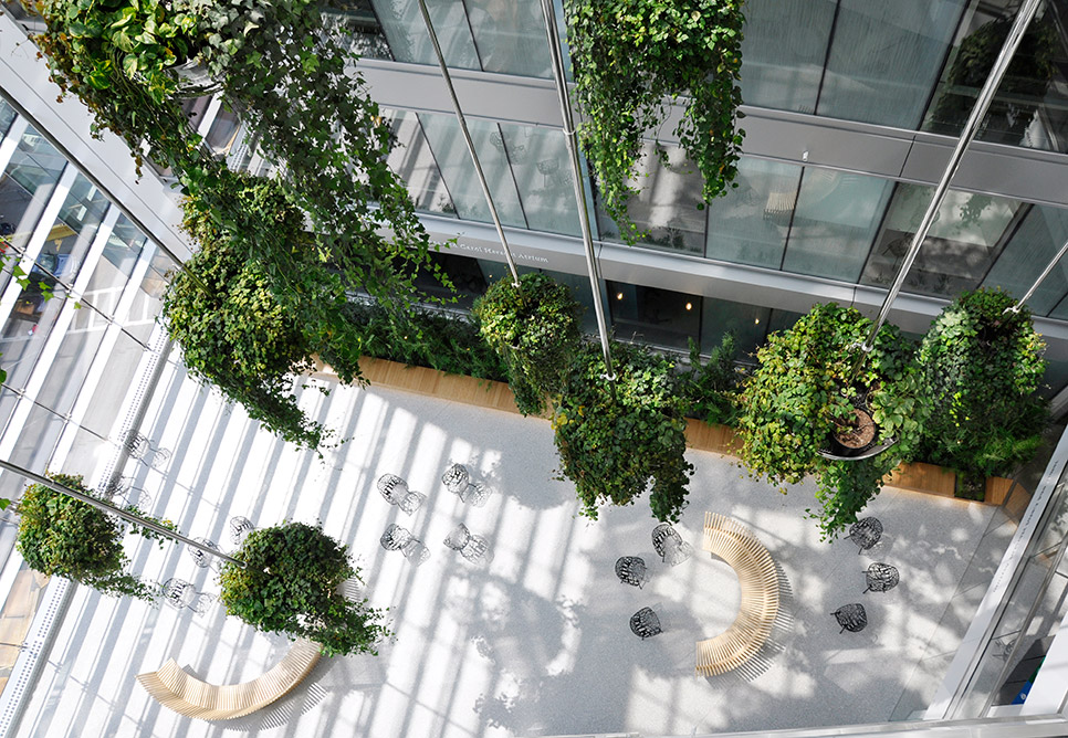 Massachusetts General Hospital | NBBJ